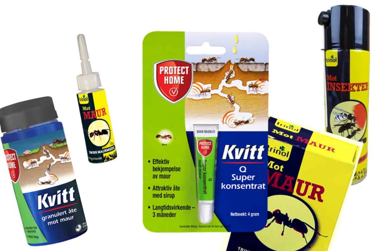 Hvordan virker maurmiddel? - Ogge