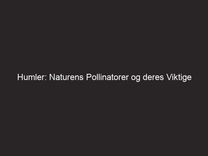 Humler: Naturens Pollinatorer og deres Viktige Rolle i Våre Økosystemer ...