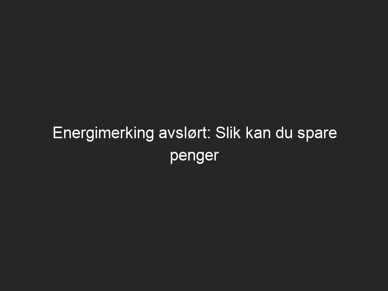 Energimerking avslørt: Slik kan du spare penger og miljøet samtidig - Ogge